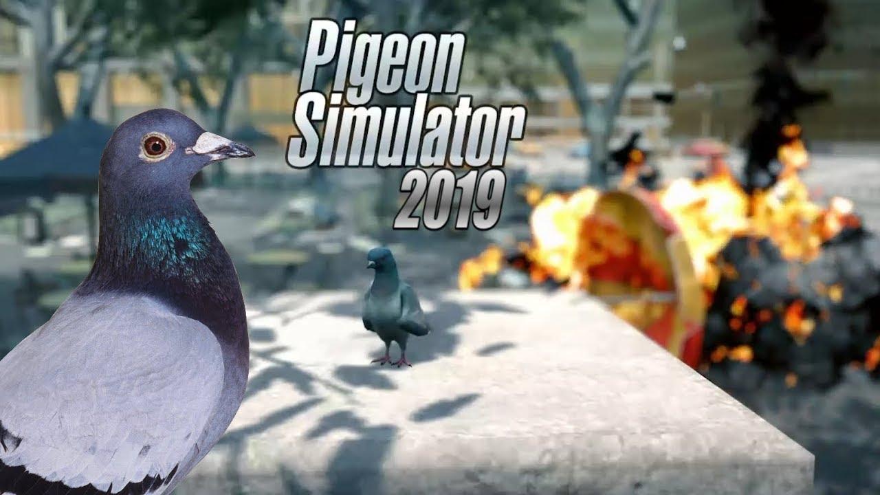 Pigeon Simulator is het spel van 2019 - Check de trailer - JFK