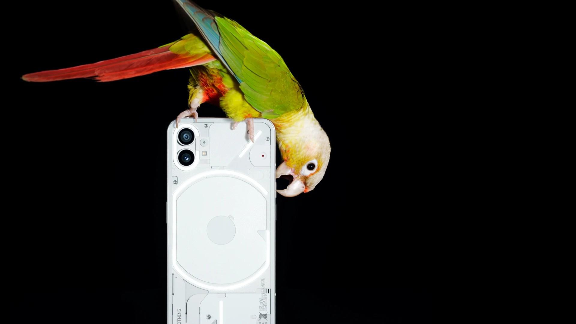 Nothing onthult eerste officiële afbeeldingen van de Phone (1)