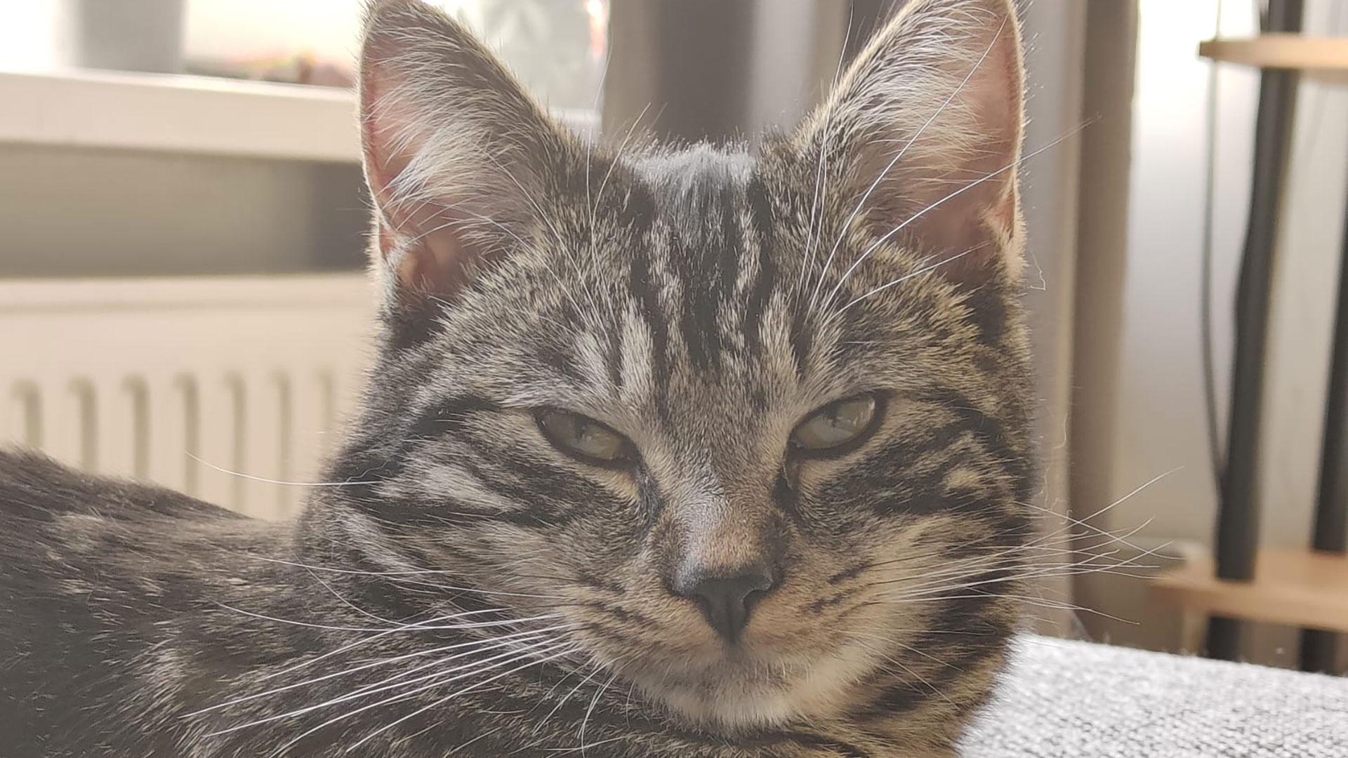 Sarcasme Voorbeelden In Films 3 Soorten Ironie In De Literatuur: