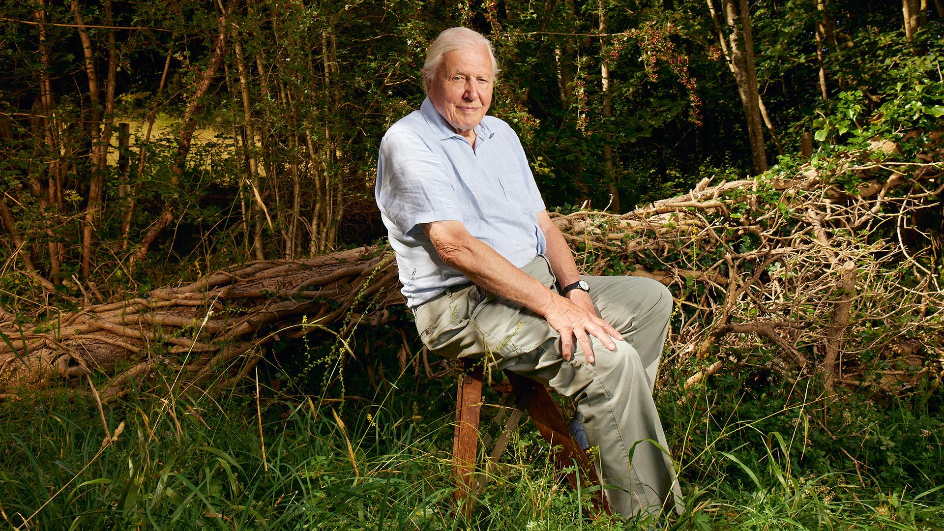 Planet Earth 3: het volledige uitzendschema (NPO 1 en NPO Start)