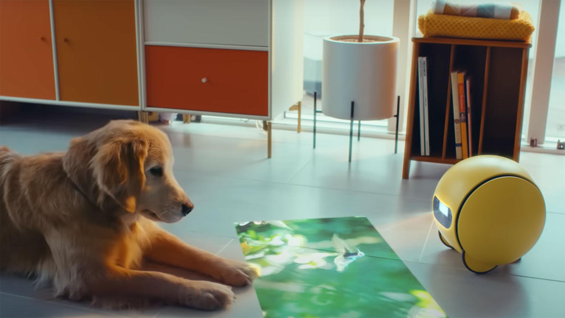 Samsung Ballie: je eigen BB-8 droid voor in huis - JFK