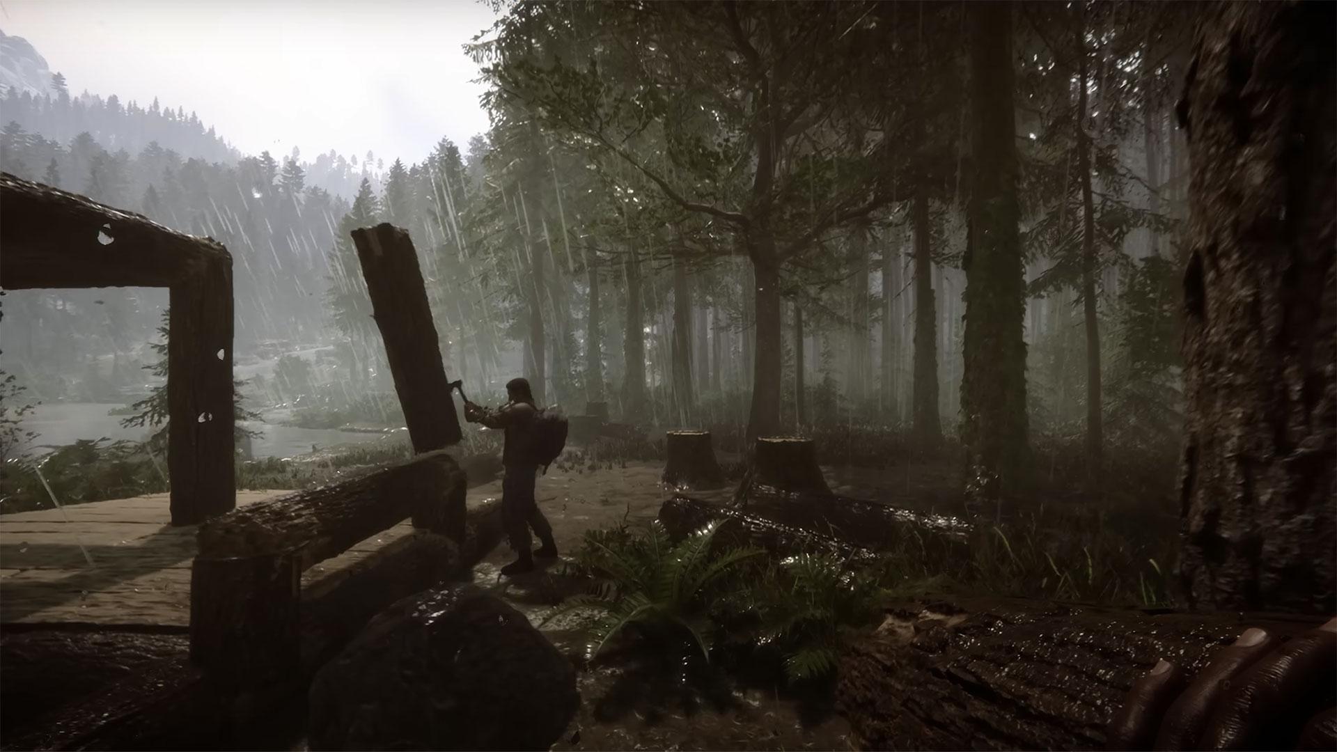 Sons of the Forest (videogame) is nu beschikbaar via early-acces