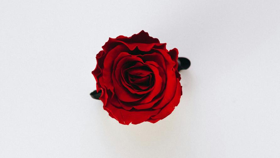 Def Rhymz (53) overleden: een eerbetoon (Doekoe en Schudden) - JFK