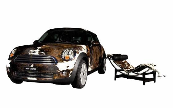 Mini koe - TopGear