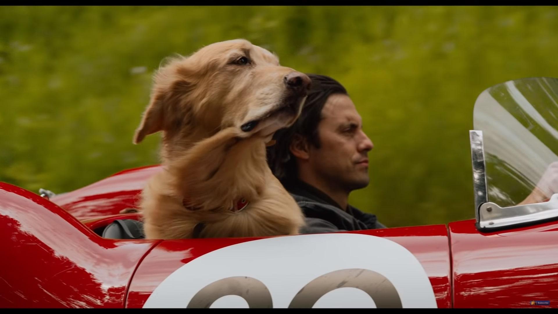 The Art of Racing in the Rain, de perfecte film - TopGear