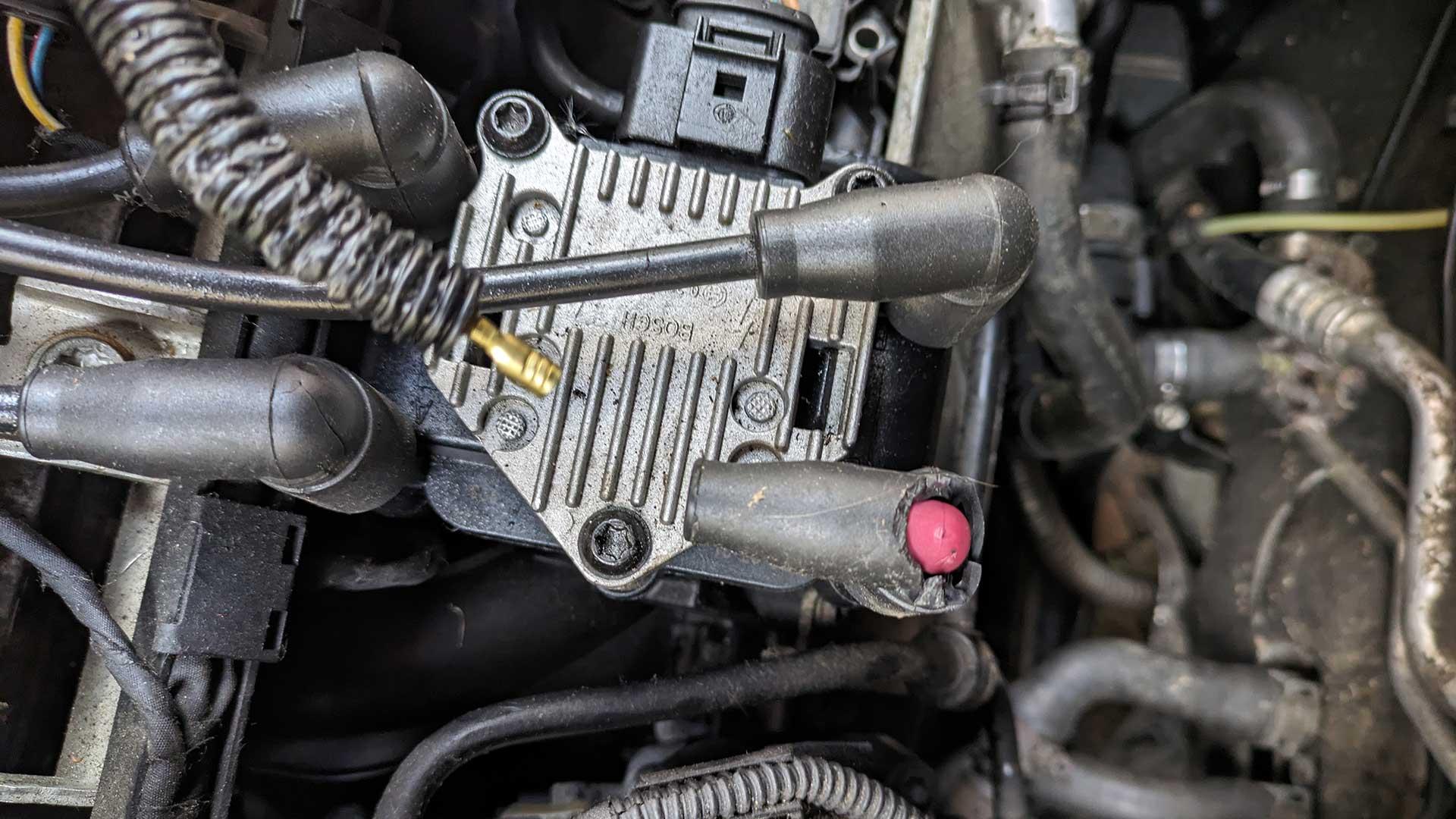 Marter is weer actief: zo beperk je schade aan je auto - TopGear