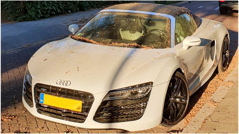 Audi R8 LMS crash in Macau - landt op zijn dak en wint de race