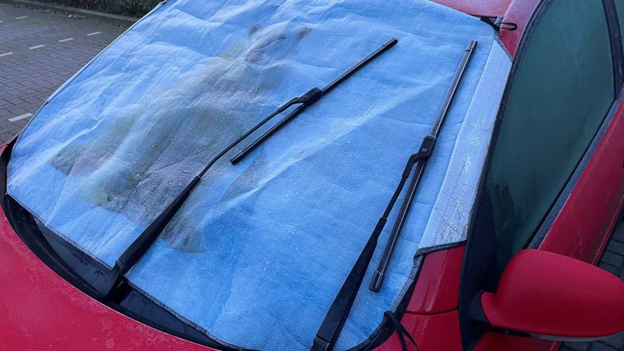 Zo zet je de ruitenwissers van de auto in je servicestand